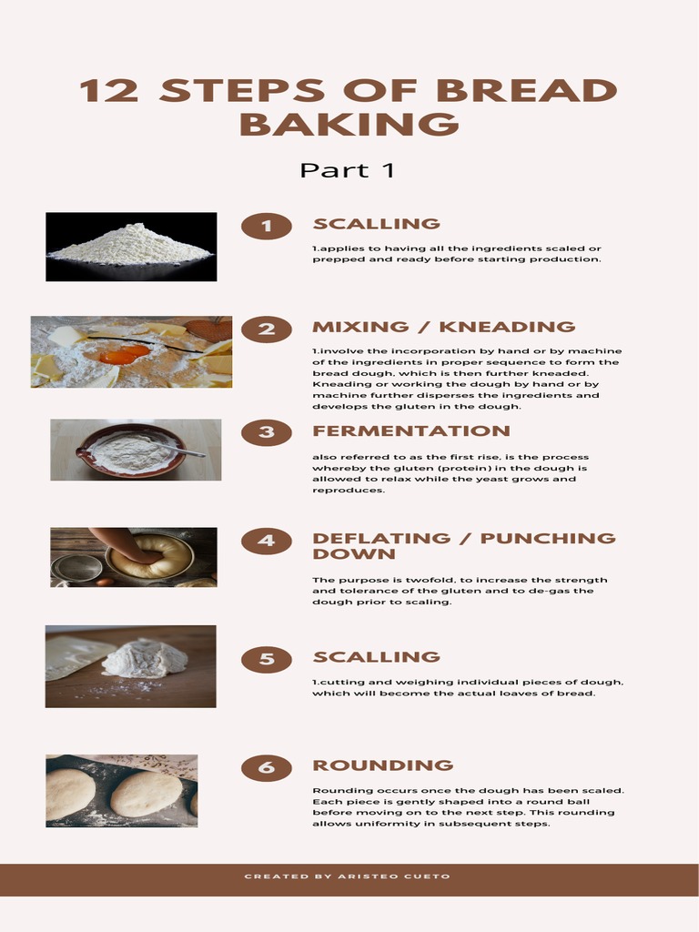 12 Steps of Bread Baking | PDF | Dough | Breads