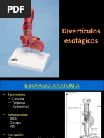 Diverticulos Esofagicos..Dr. Cesar Q. | PDF | Esófago | Estómago