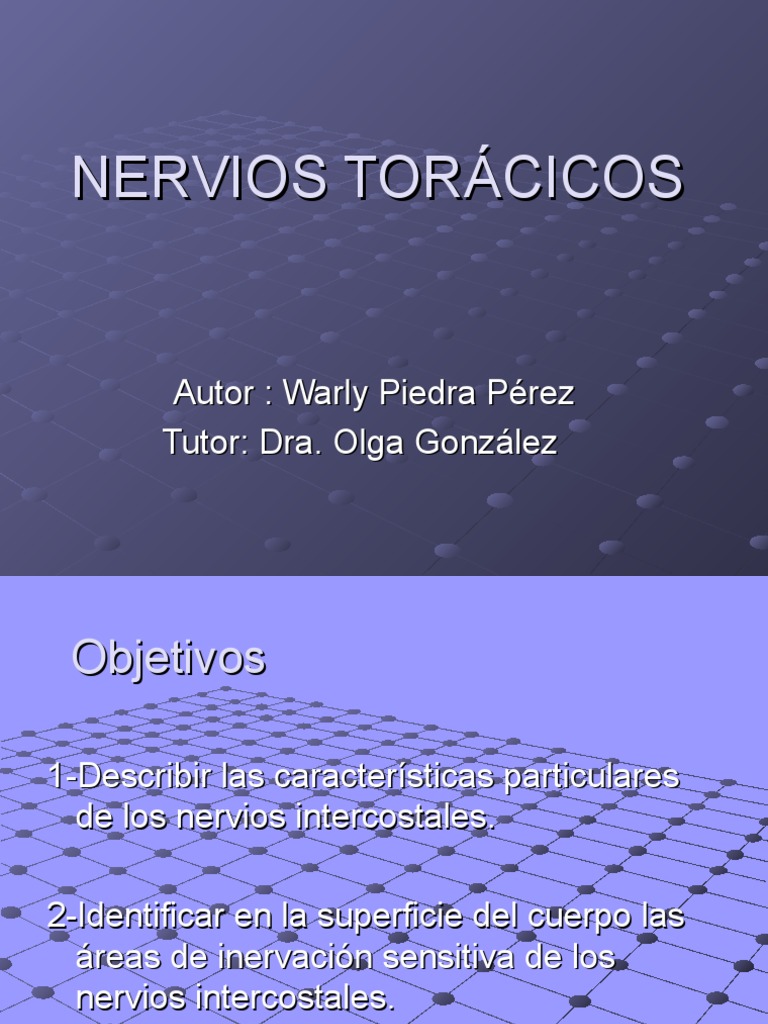 Nervios Torácicos | PDF | Abdomen | Tórax