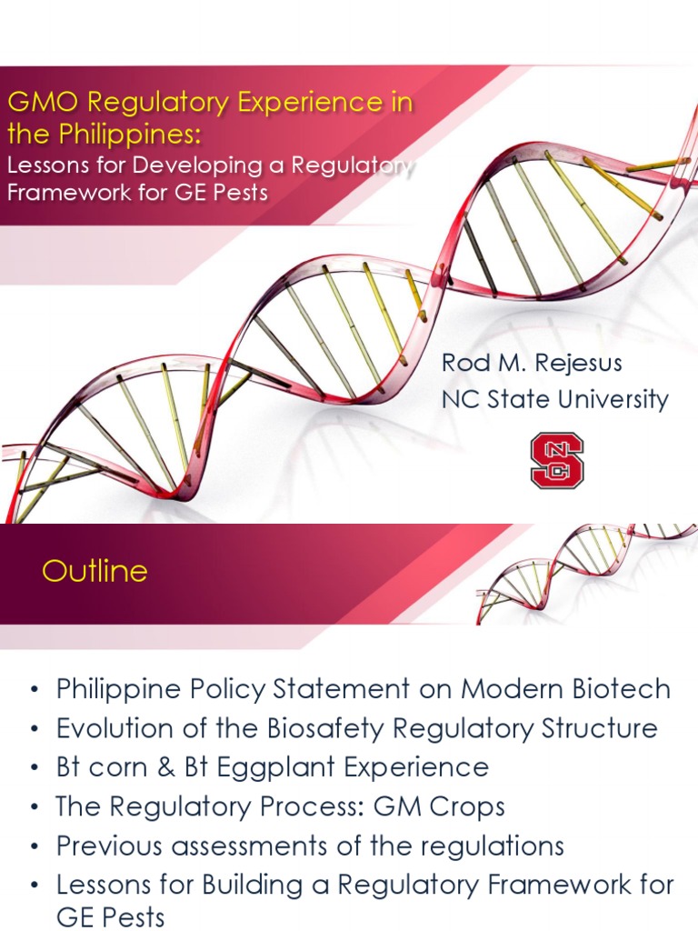 Rejesus - Presentation - v2 GMO Regulatory Experience in The ...