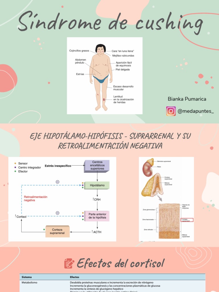 Síndrome de Cushing | PDF | Especialidades Medicas | Enfermedades y ...
