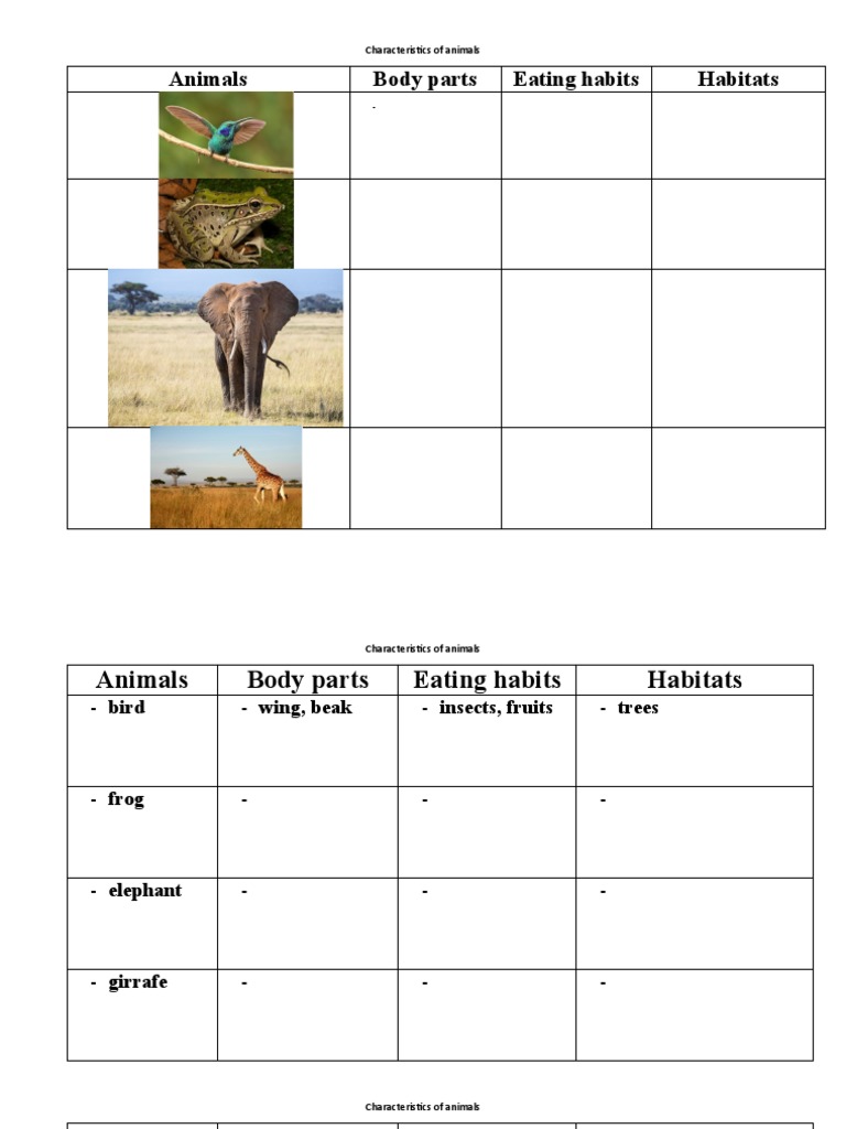 Animals Body Parts Eating Habits Habitats: - Insects, - Trees | PDF