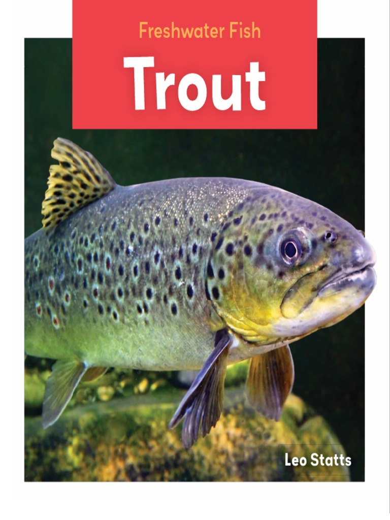 Trout: Freshwater Fish Freshwater Fish | PDF | Trout | Rainbow Trout