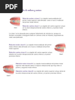 Relaciones Molares y Caninas en Oclusión | PDF | Estudios de idiomas ...