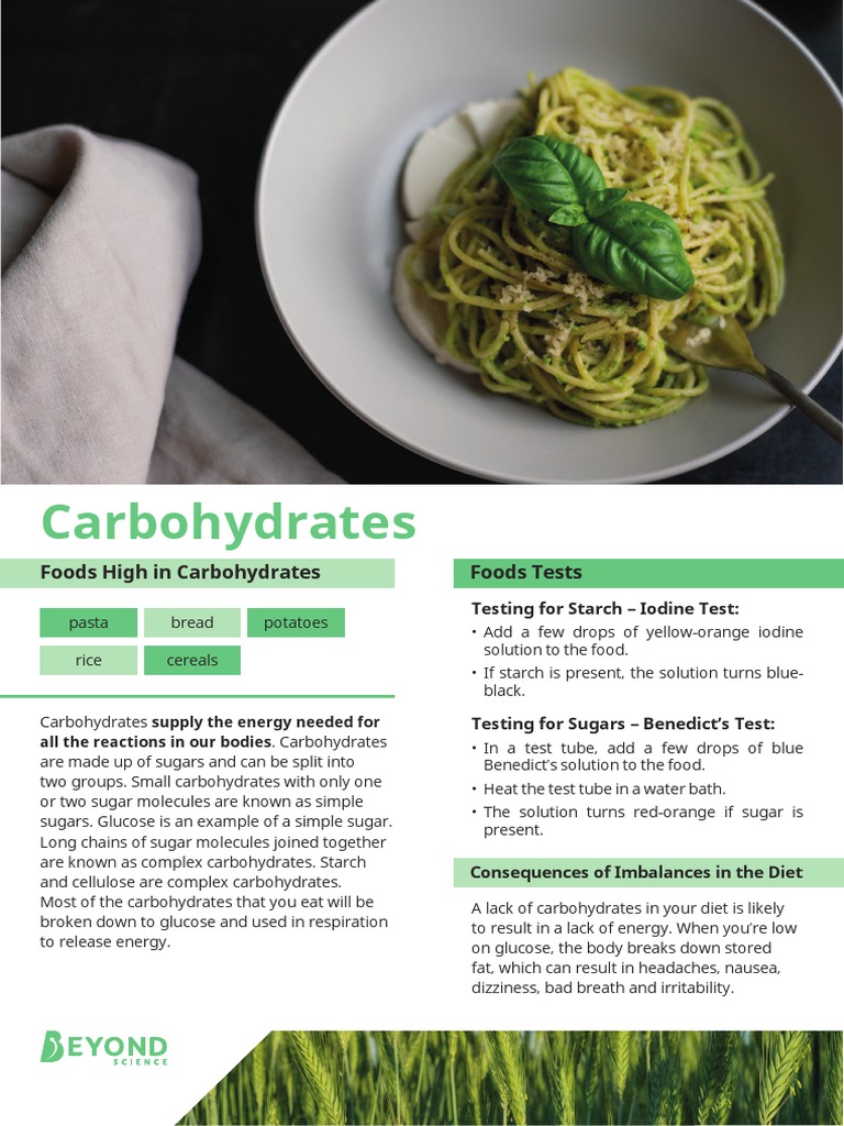 Carbohydrates Information Poster | PDF
