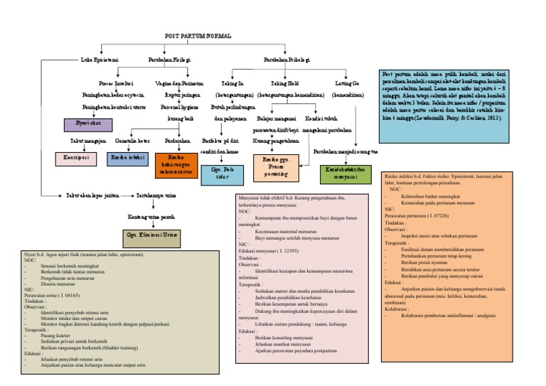 WOC Post Partum | PDF
