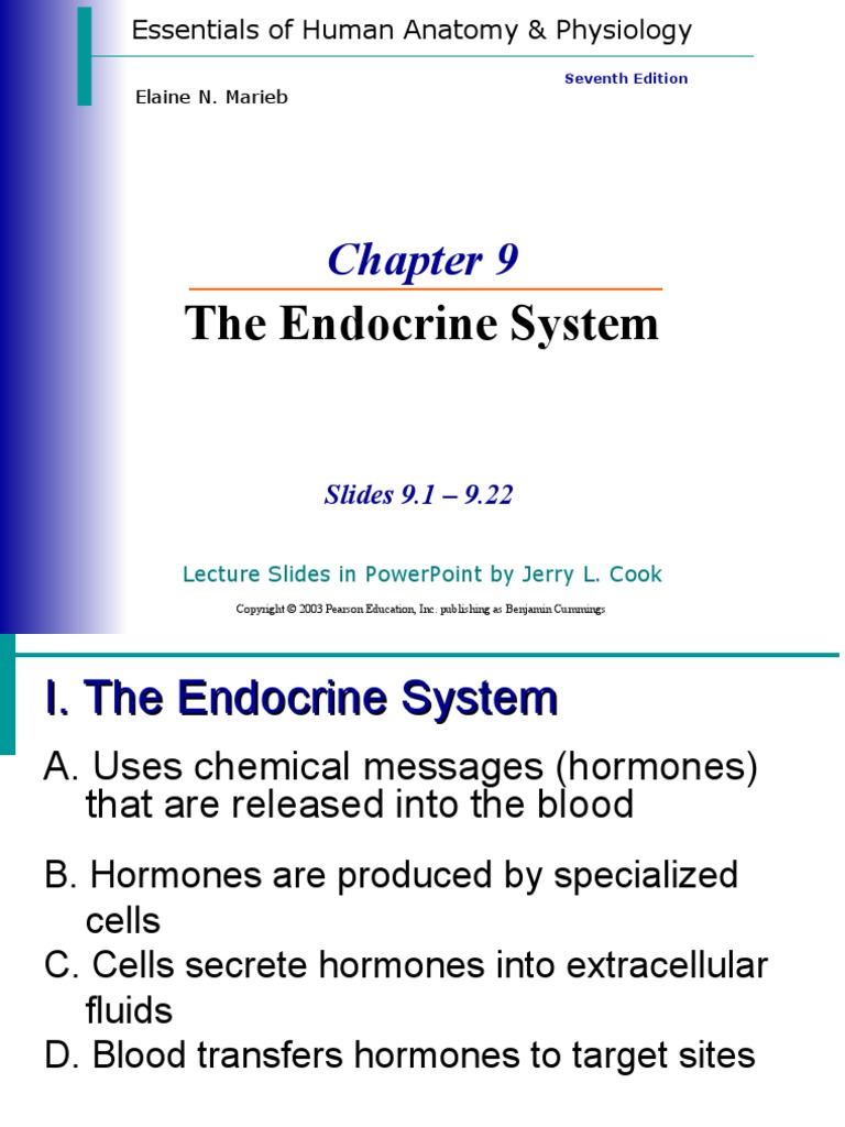 The Endocrine System | PDF | Hormone | Endocrine System