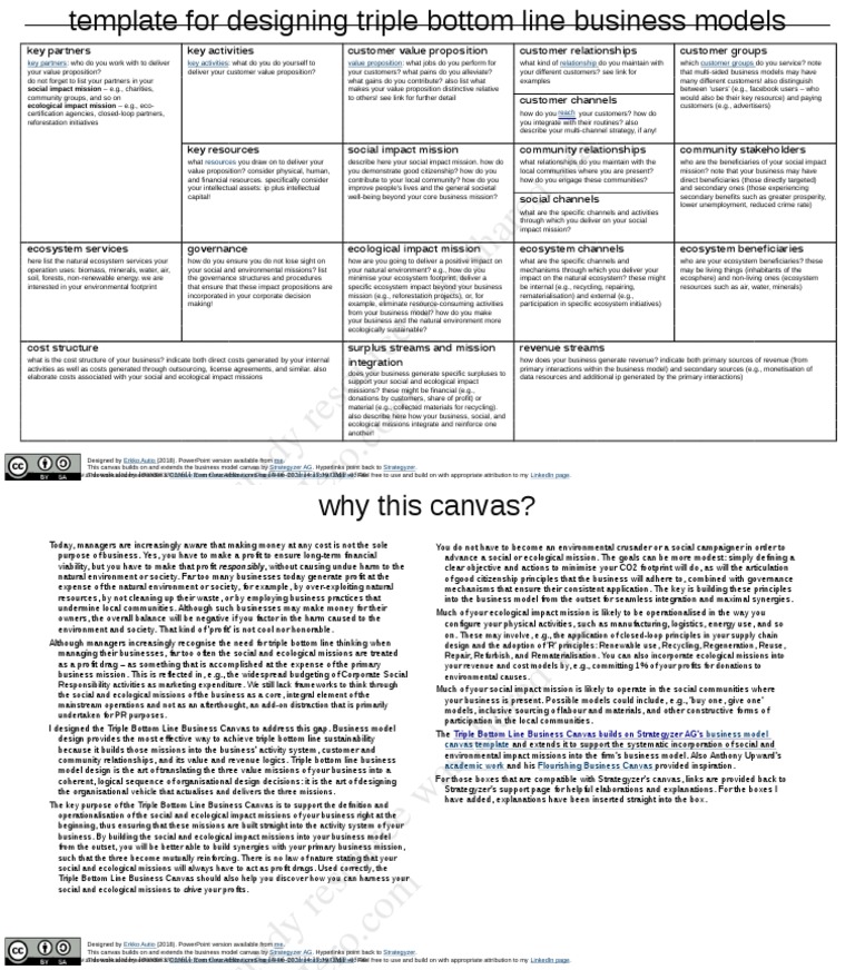 Designing a Triple Bottom Line Business Model: A Template for ...
