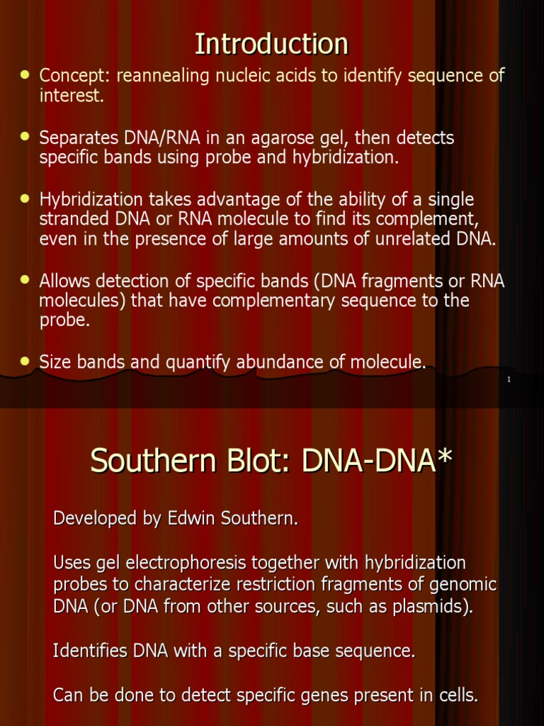 Northern & Southern Blots | PDF | Gel Electrophoresis | Northern Blot