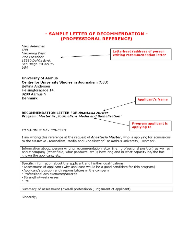 Professional Recommendation 09 | PDF