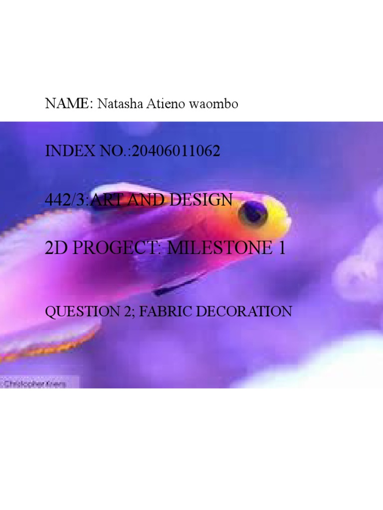 2D Progect: Milestone 1: 442/3:art and Design | PDF
