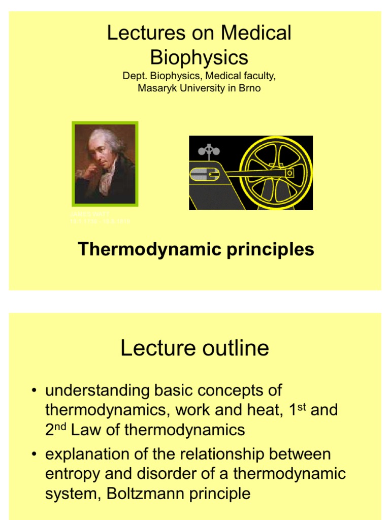 Thermodynamics in Medical Biophysics | PDF | Entropy | Thermodynamics