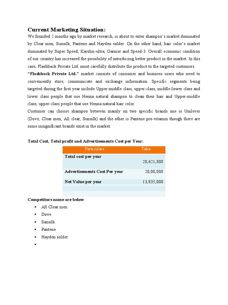 Current Marketing Situation:: "Flashback Private LTD." Market Consists ...