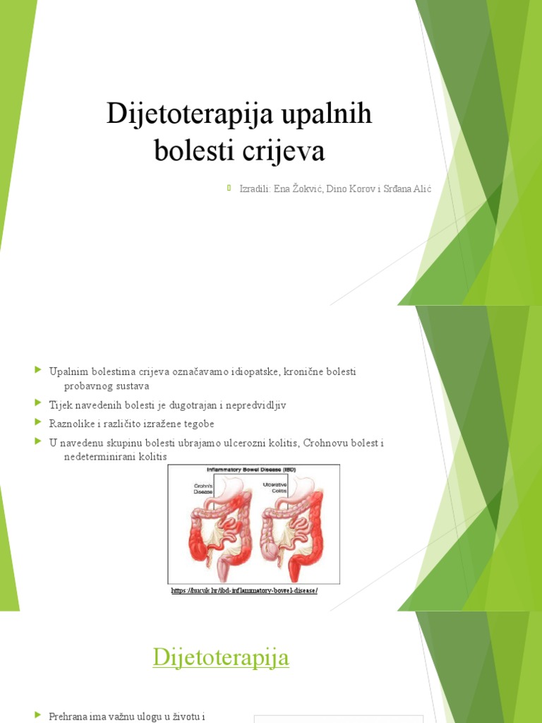 Dijetoterapija Upalnih Bolesti Crijeva | PDF