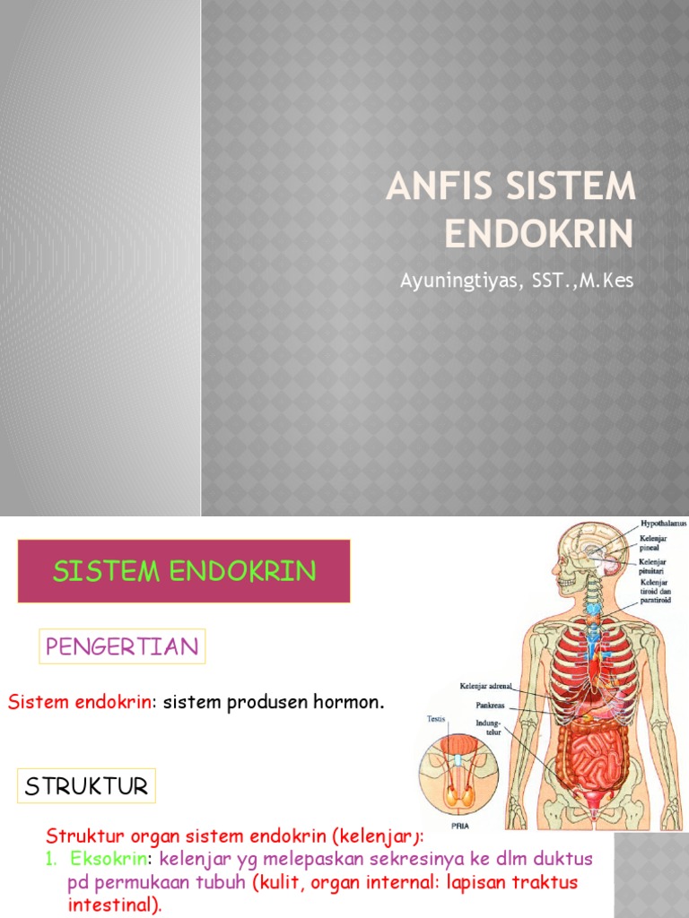 Anfis Sistem Endokrin | PDF | Kesehatan Holistik