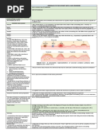 Patient-Scale POSAS-3.0 Generic-Scar English | PDF | Paresthesia | Medicine