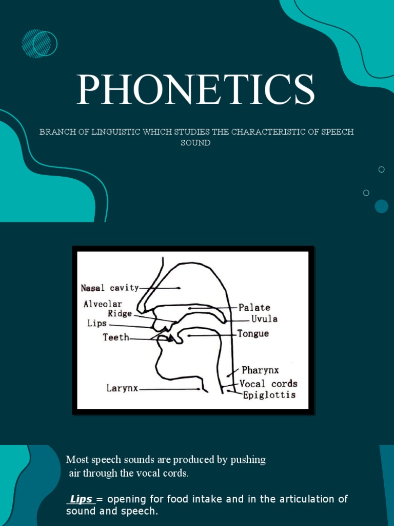 Phonetics: Branch of Linguistic Which Studies The Characteristic of ...
