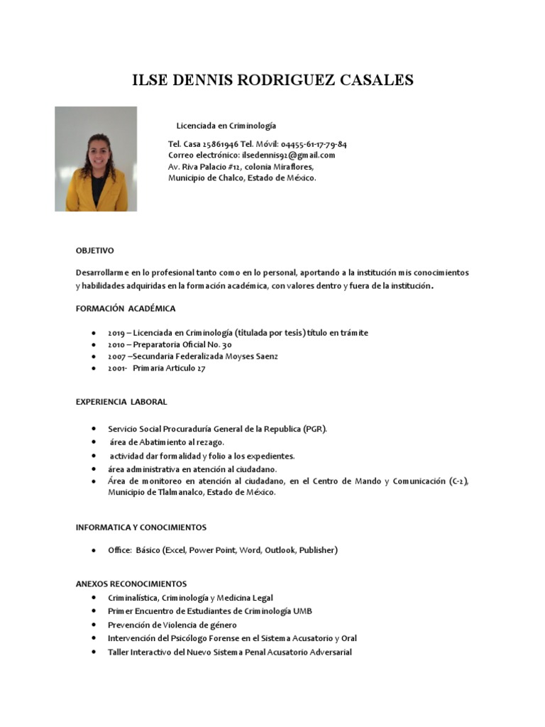 CURRICULUM Dennis | PDF