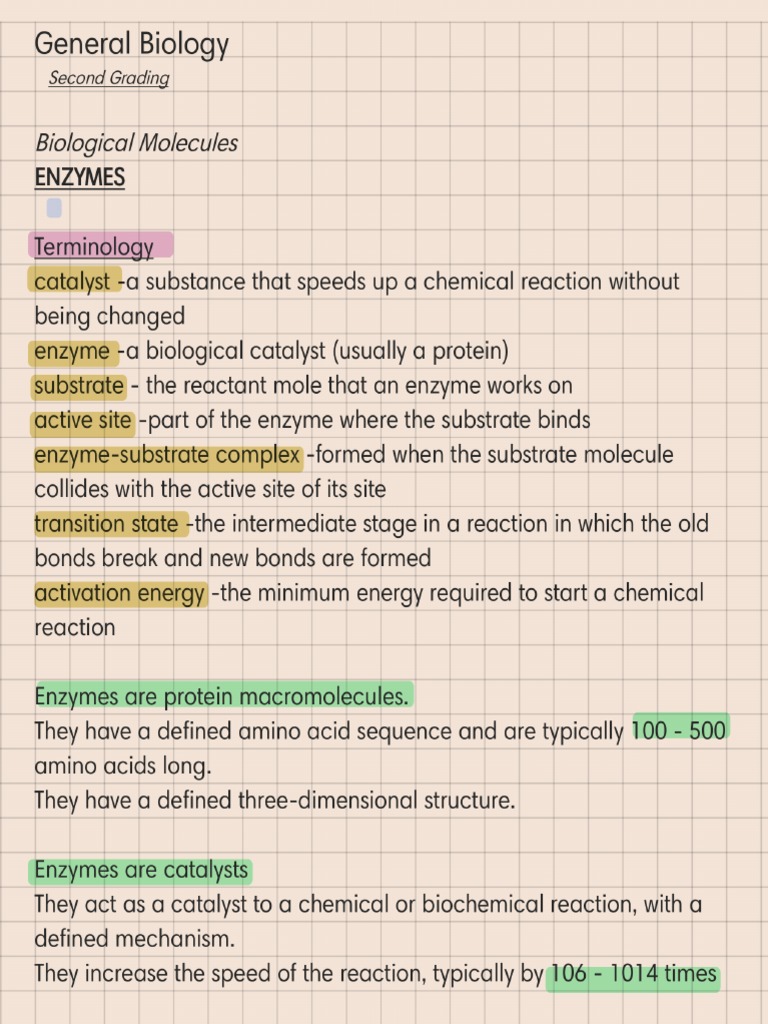 General Biology 1 Notes (2nd Grading) | PDF