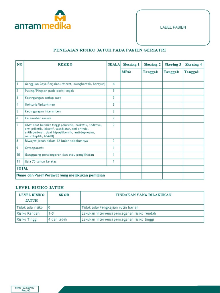 PENILAIAN RISIKO JATUH PADA PASIEN GERIA-dikonversi | PDF