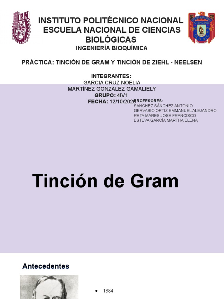 Tinción de Ziehl - Neelsen | PDF | Bacterias Gram-negativo | Bacterias ...