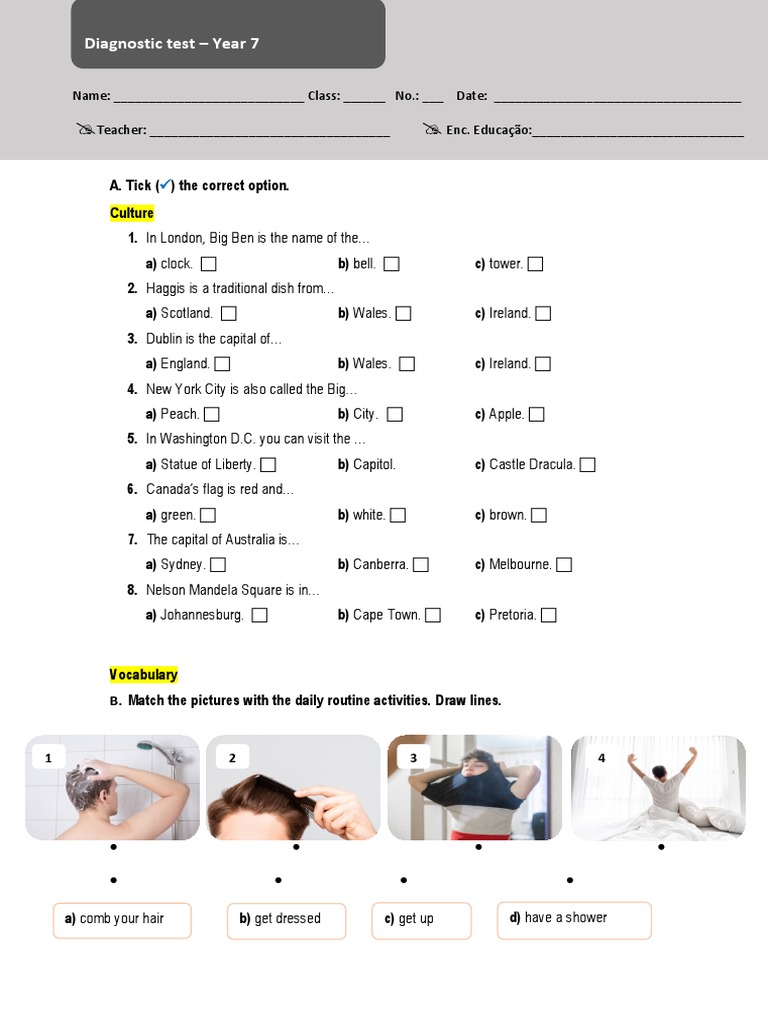 Diagnostic Test - Year 7 | PDF