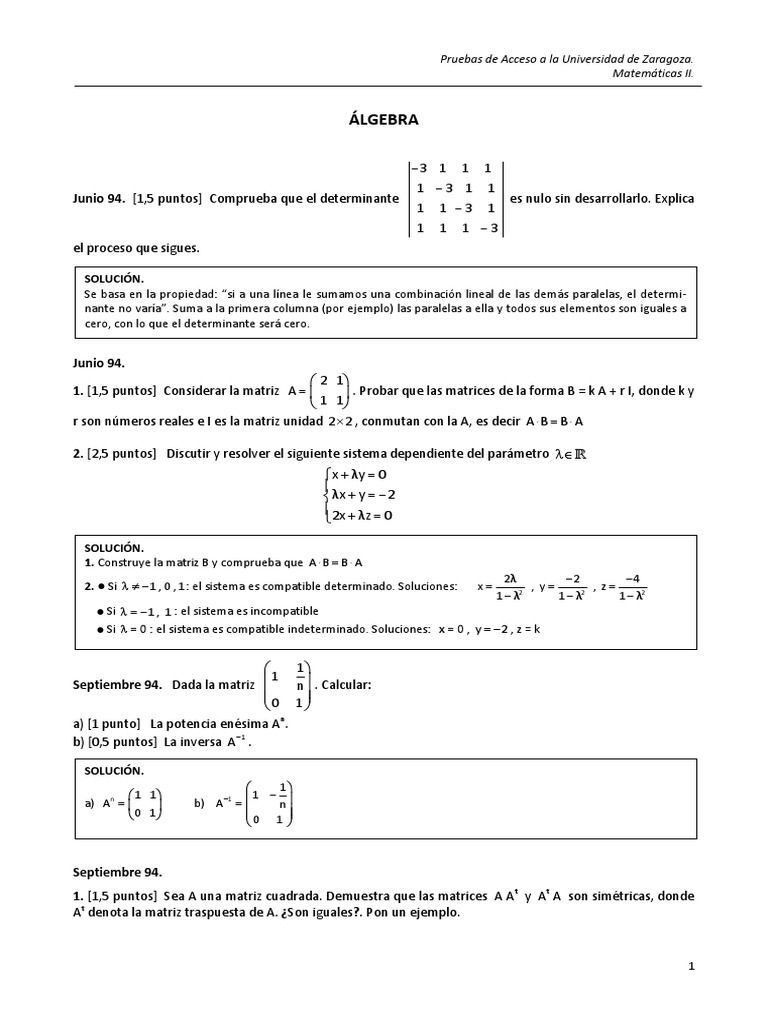 Algebra CNS | PDF | Matriz (Matemáticas) | Determinante
