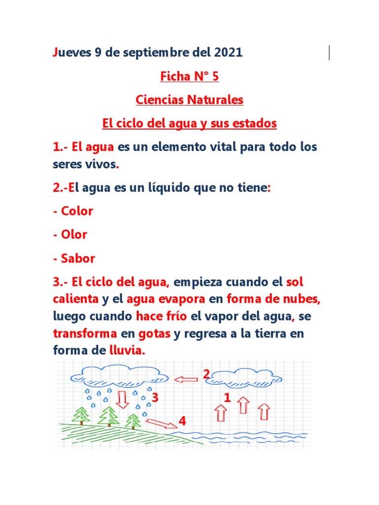 Ciencias Ficha #5 El Ciclo Del Agua y Sus Estados. | PDF