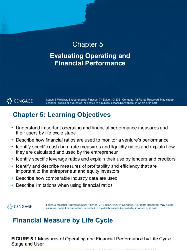 Evaluating Operating and Financial Performance | PDF | Leverage ...