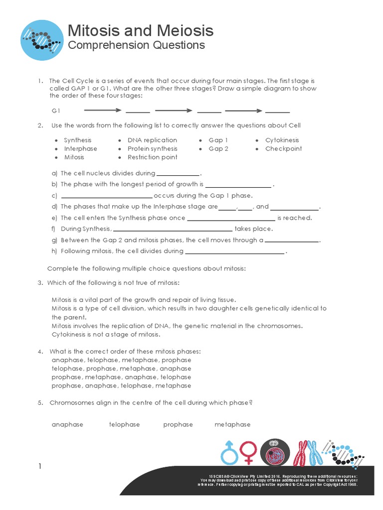 Mitosis and Meiosis: Comprehension Questions | PDF | Mitosis | Meiosis