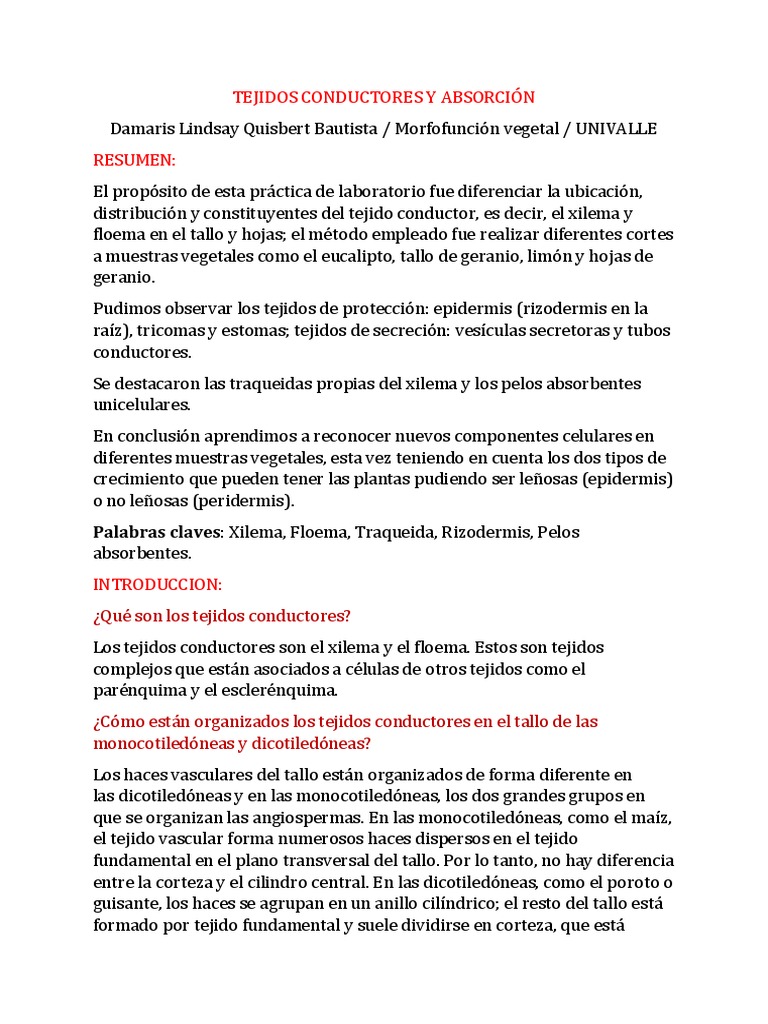 Tejido Conductor y Absorción | PDF | Tallo de la planta | Raíz
