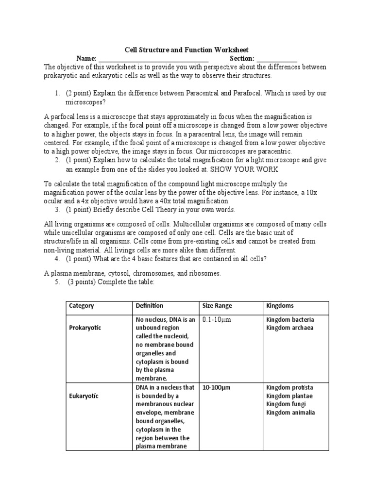 Cell Structure and Function Worksheet | PDF | Cell (Biology) | Eukaryotes
