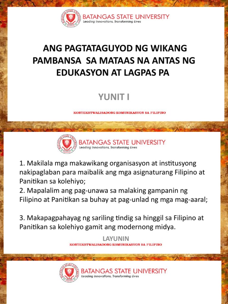Ang Pagtataguyod NG Wikang: Pambansa Sa Mataas Na Antas NG Edukasyon at Lagpas Pa | PDF