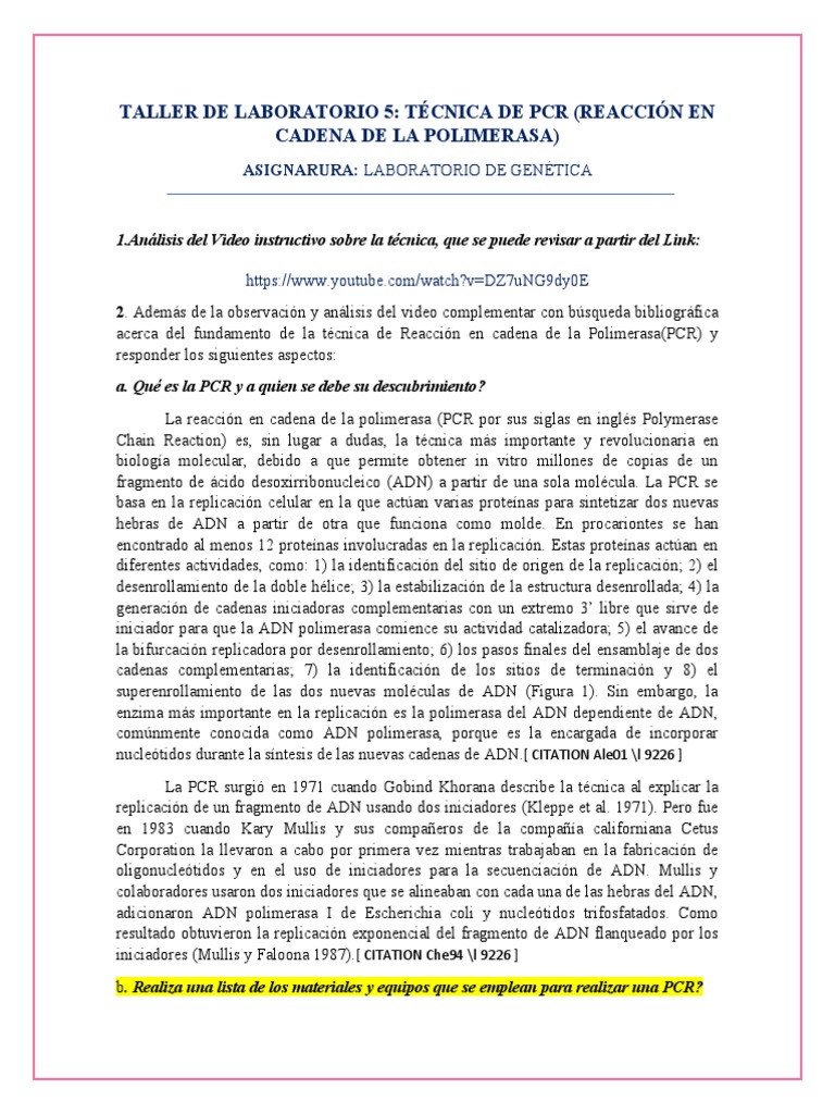 Laboratorio PCR | PDF | Primer (Biología Molecular) | Reacción en ...