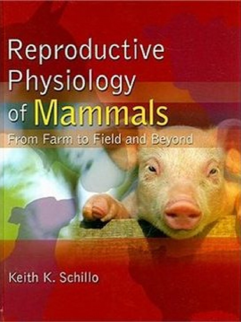 Reproductive Physiology of Mammals | PDF