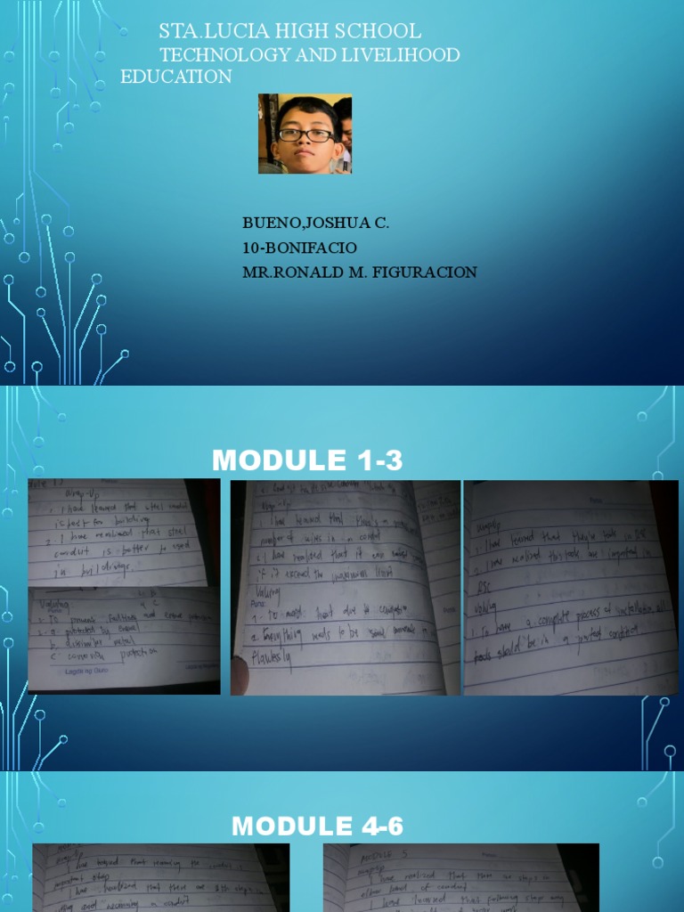 TLE Portfolio Reflection and Modules | PDF