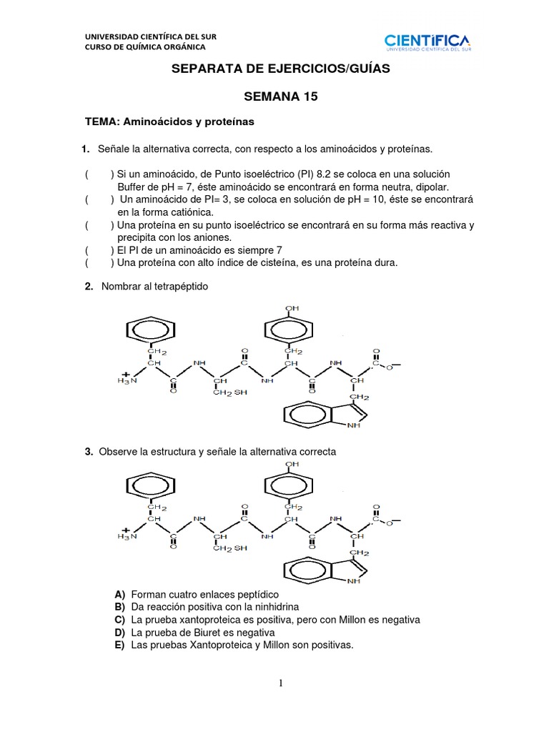 Separata Sem 15 | Descargar gratis PDF | Proteínas | Aminoácidos