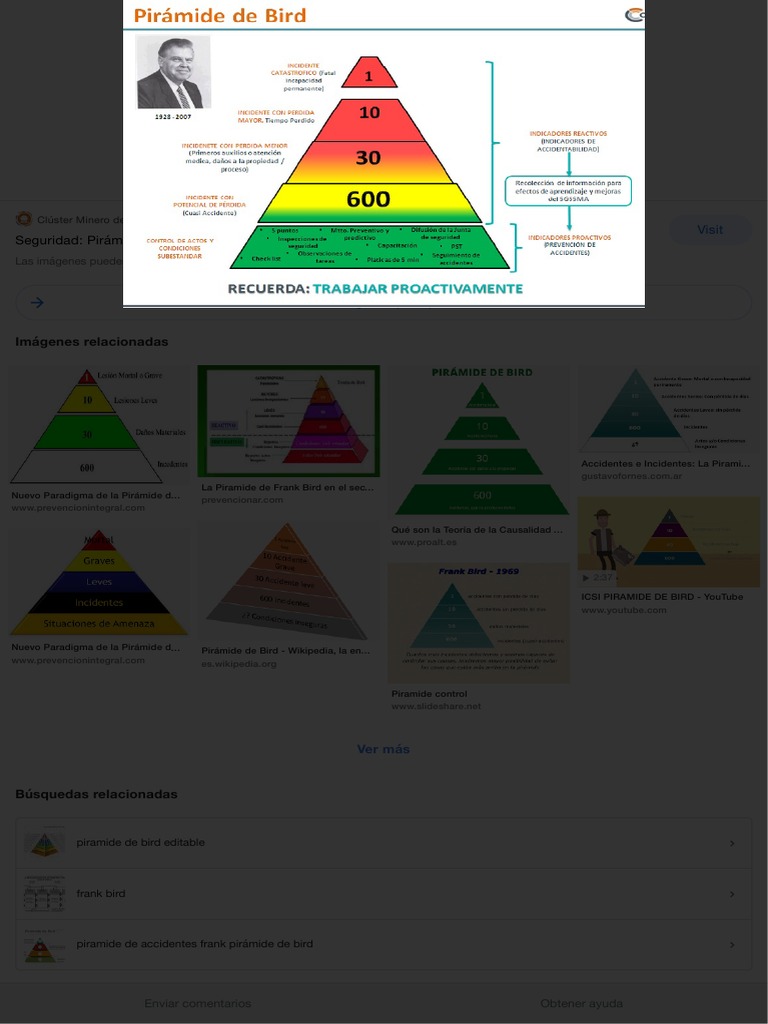 Piramide de Bird - Buscar Con Google | PDF