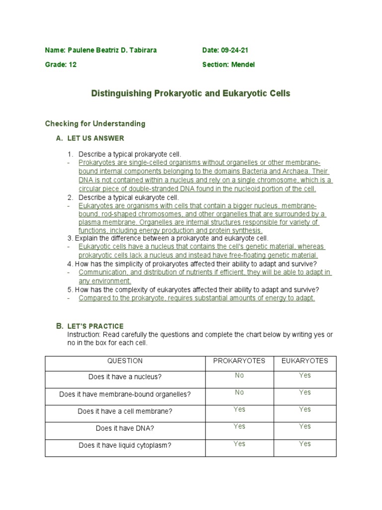 Distinguishing Prokaryotic and Eukaryotic Cells: Checking For ...
