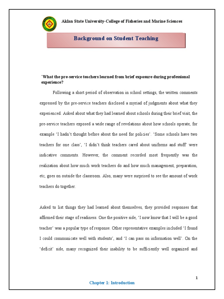 Reflections on Early Teaching Experiences: Insights into Pre-Service ...