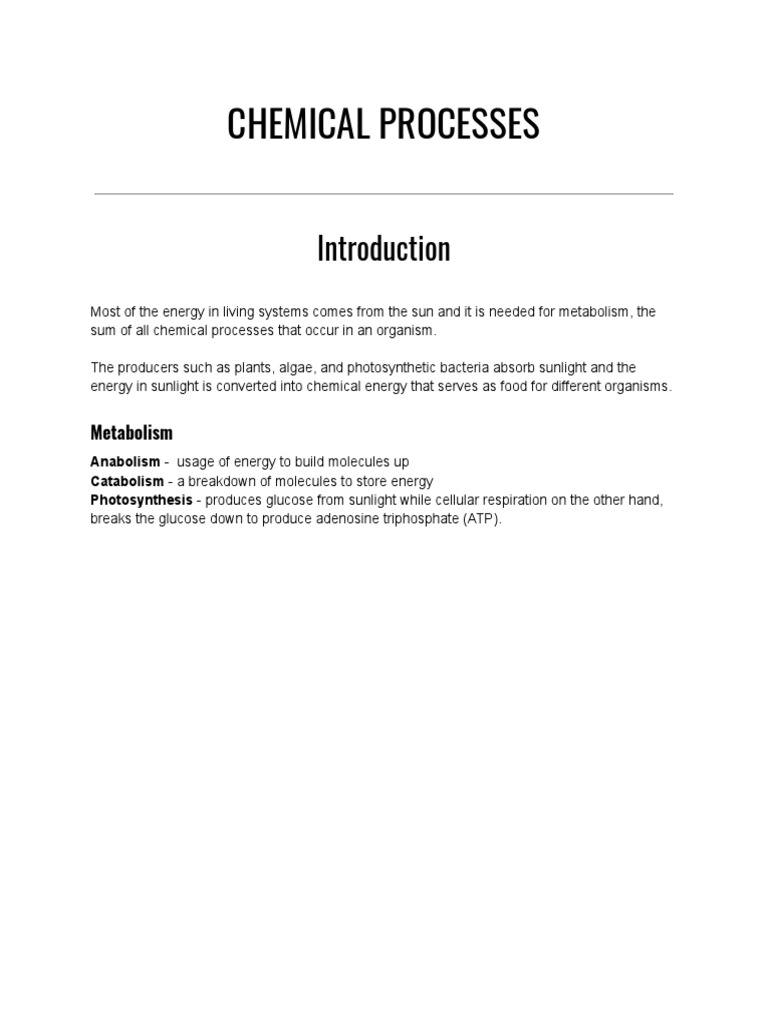 Chemical Processes | PDF | Adenosine Diphosphate | Photosynthesis