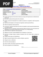 Anexo 04 - RISSO SPCC COMPLETO PDF | PDF | Derecho laboral | Minería