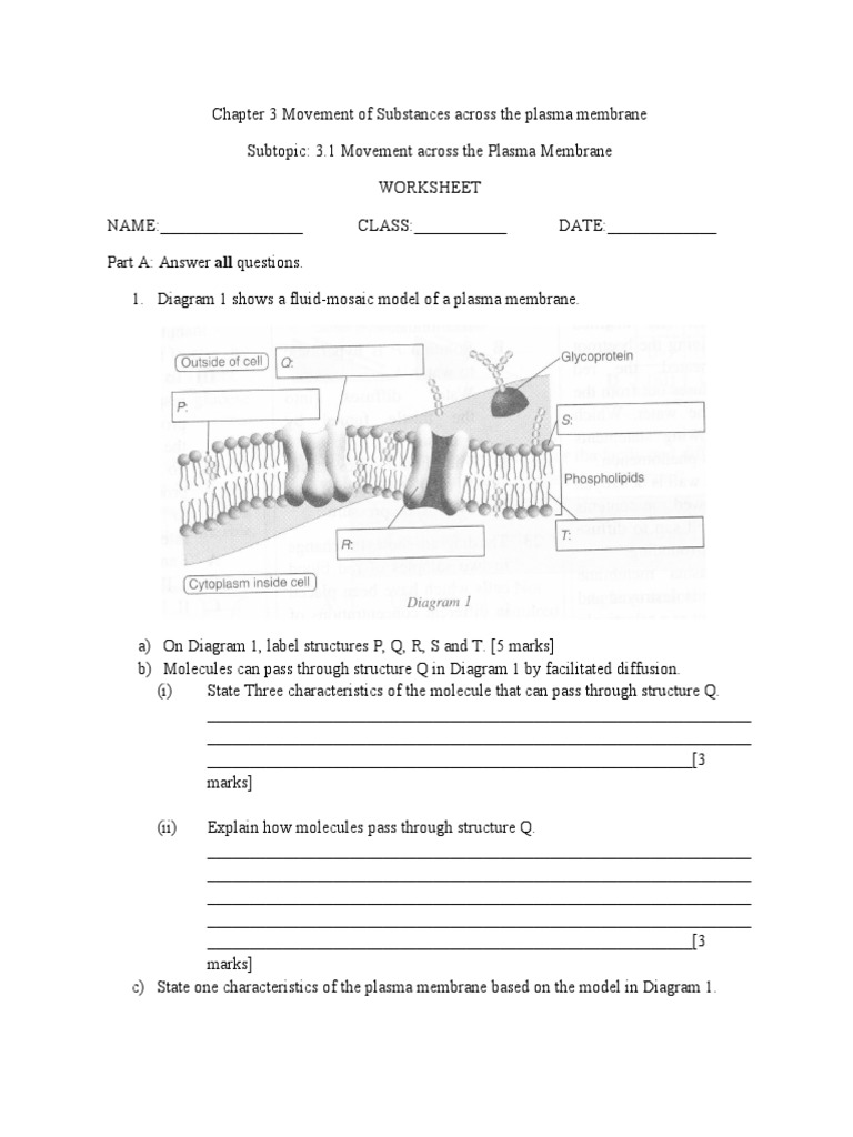 Cell Membrane Labeling Worksheet