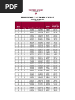SGEU Pay Scale Overview 2024 | PDF