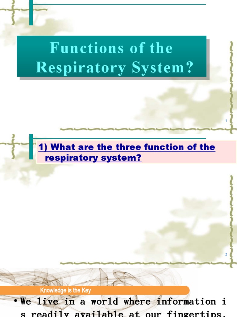 BAD Habits RESPIRATORY Diseases | PDF