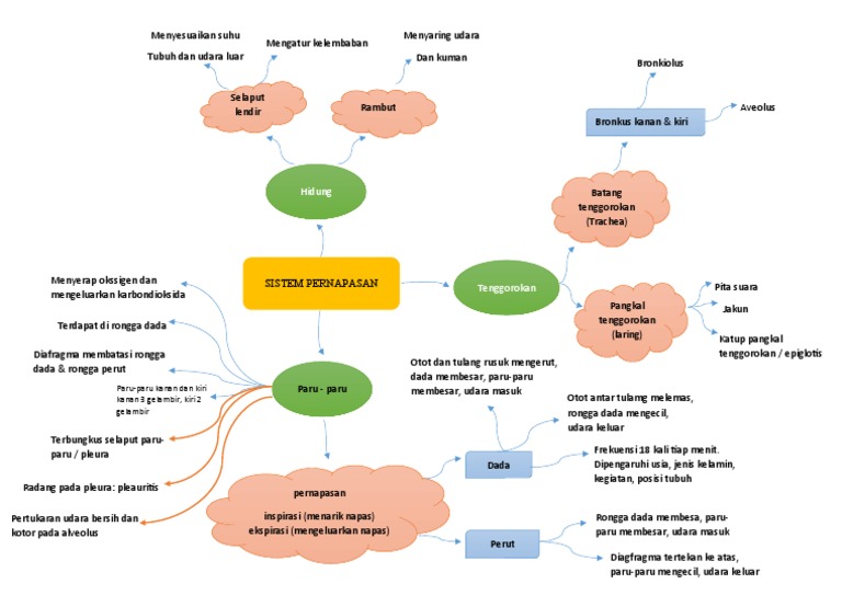 Mapping Keperawatan Sistem Pernapasan - MEI INDRIANI | PDF Mapping Keperawatan Sistem Pernapasan - MEI INDRIANI | PDF