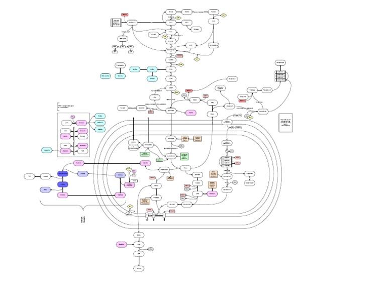Biochem Concept Map | PDF