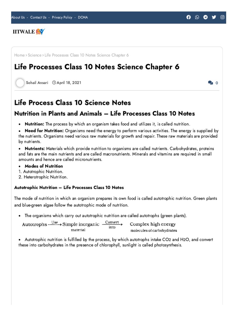 Chapter 6 - Life Processes Note | PDF | Cellular Respiration | Kidney