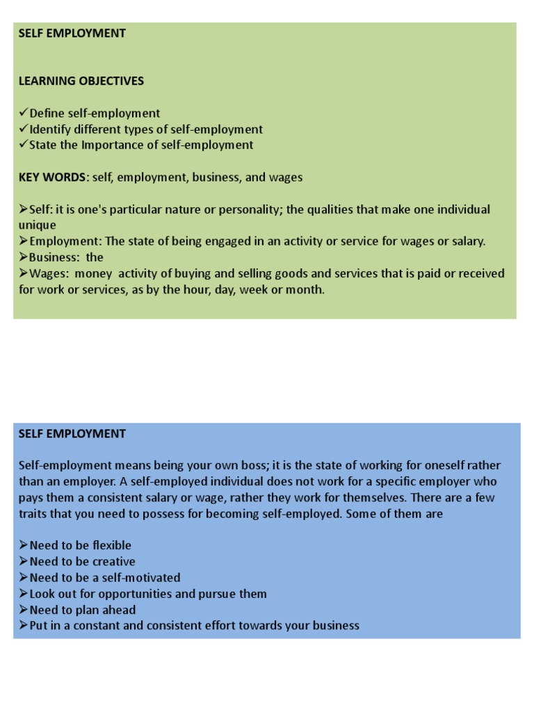 Self Employement | PDF | Self Employment | Small Business & Entrepreneurs