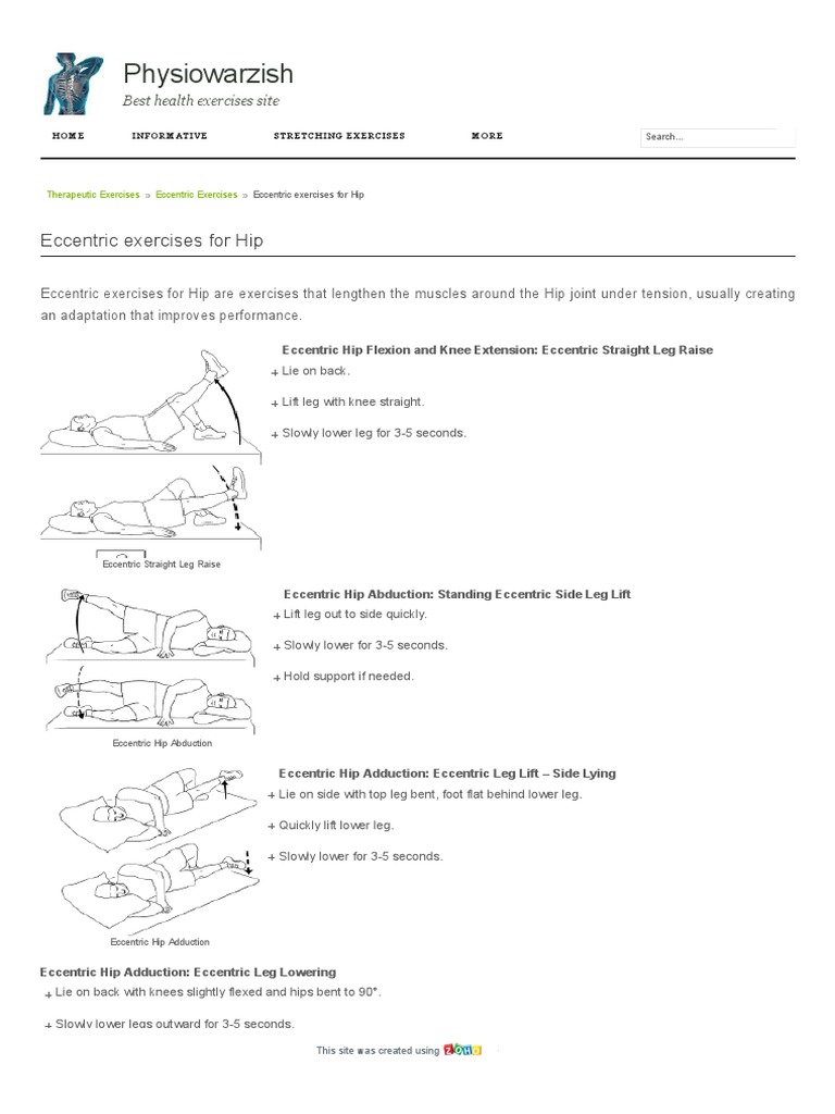 Eccentric Exercises For Hip | PDF | Anatomical Terms Of Motion | Human Leg